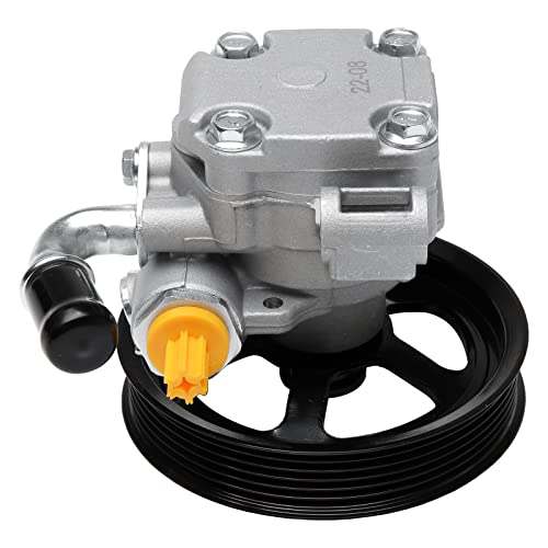 Replacement Power Steering Pump with Pulley - Compatible with Buick, C ...